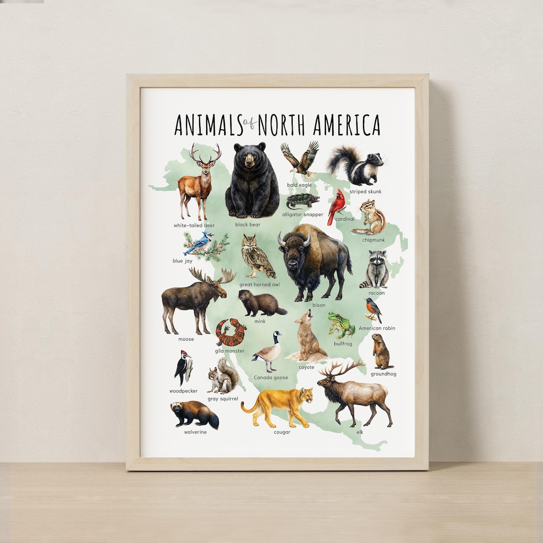 North American Animals Educational Poster – Watercolor Wildlife Map ...