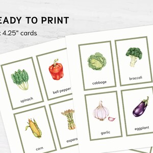 Montessori Vegetable Flashcards - Printable Vocabulary Cards for ...