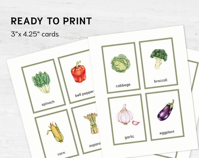 Montessori Vegetable Flashcards - Printable Vocabulary Cards for ...