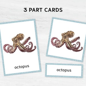 Sea Animal Flashcards for Montessori Learning - Educational Homeschool ...