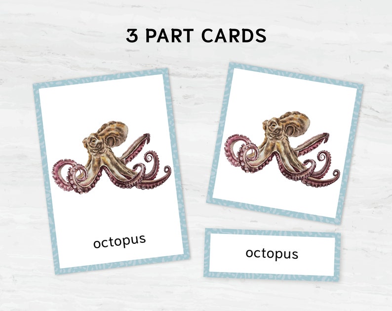 Sea Animals Flashcards for Montessori Learning Educational Homeschool ...