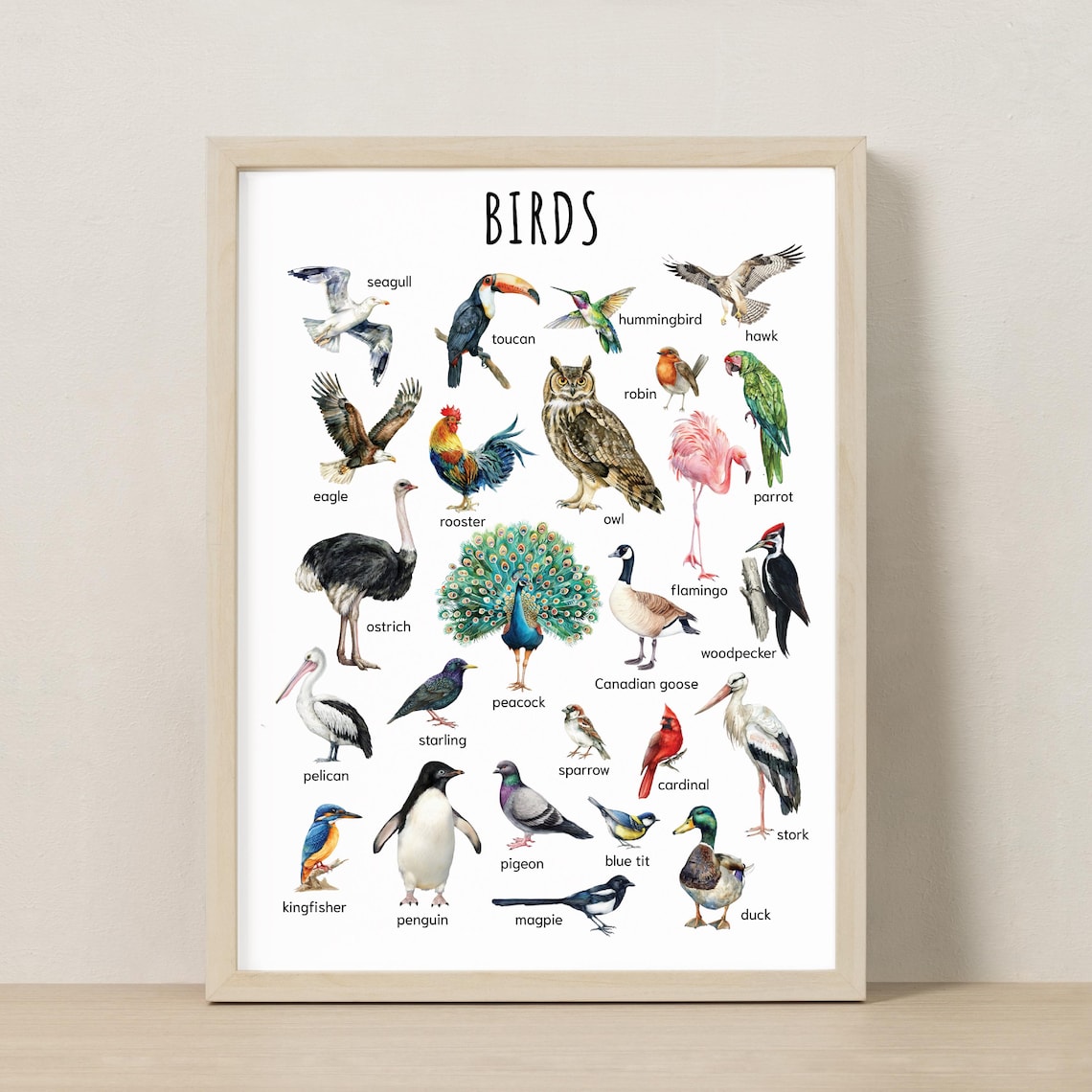Animal Classification Educational Poster – Watercolor Prints for Kids ...