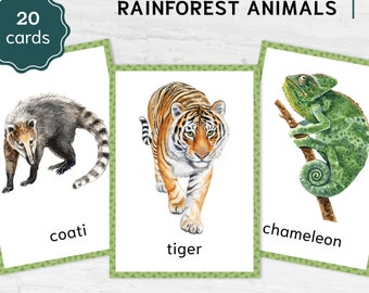 JUNGLE Animals Printable Flashcards. Montessori Homeschool Supplies ...