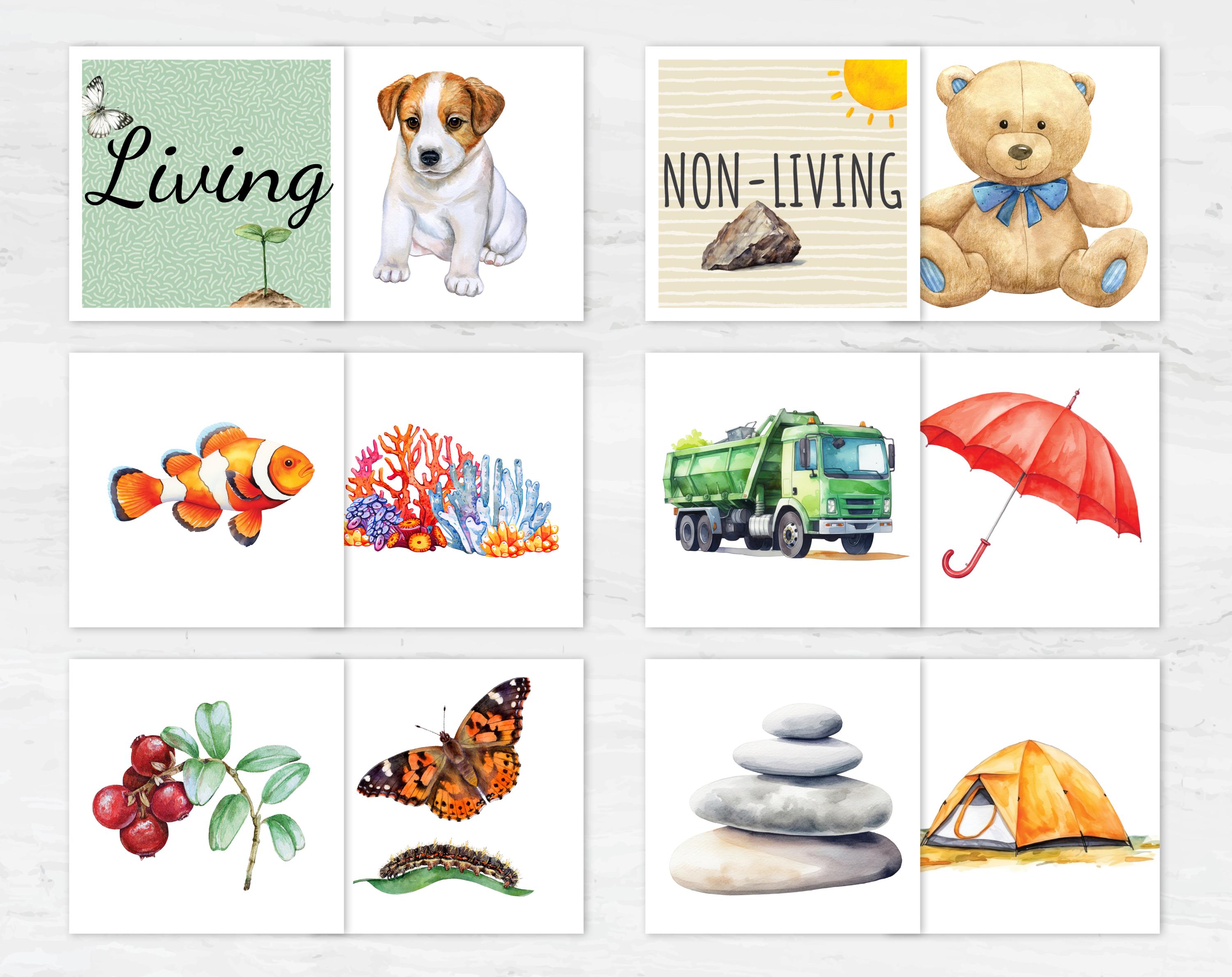 Living and Nonliving Sorting Activity Printable | Montessori Science ...