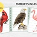 Birds Printable Puzzle. Number Sequence 1-10. Montessori Preschool Math ...