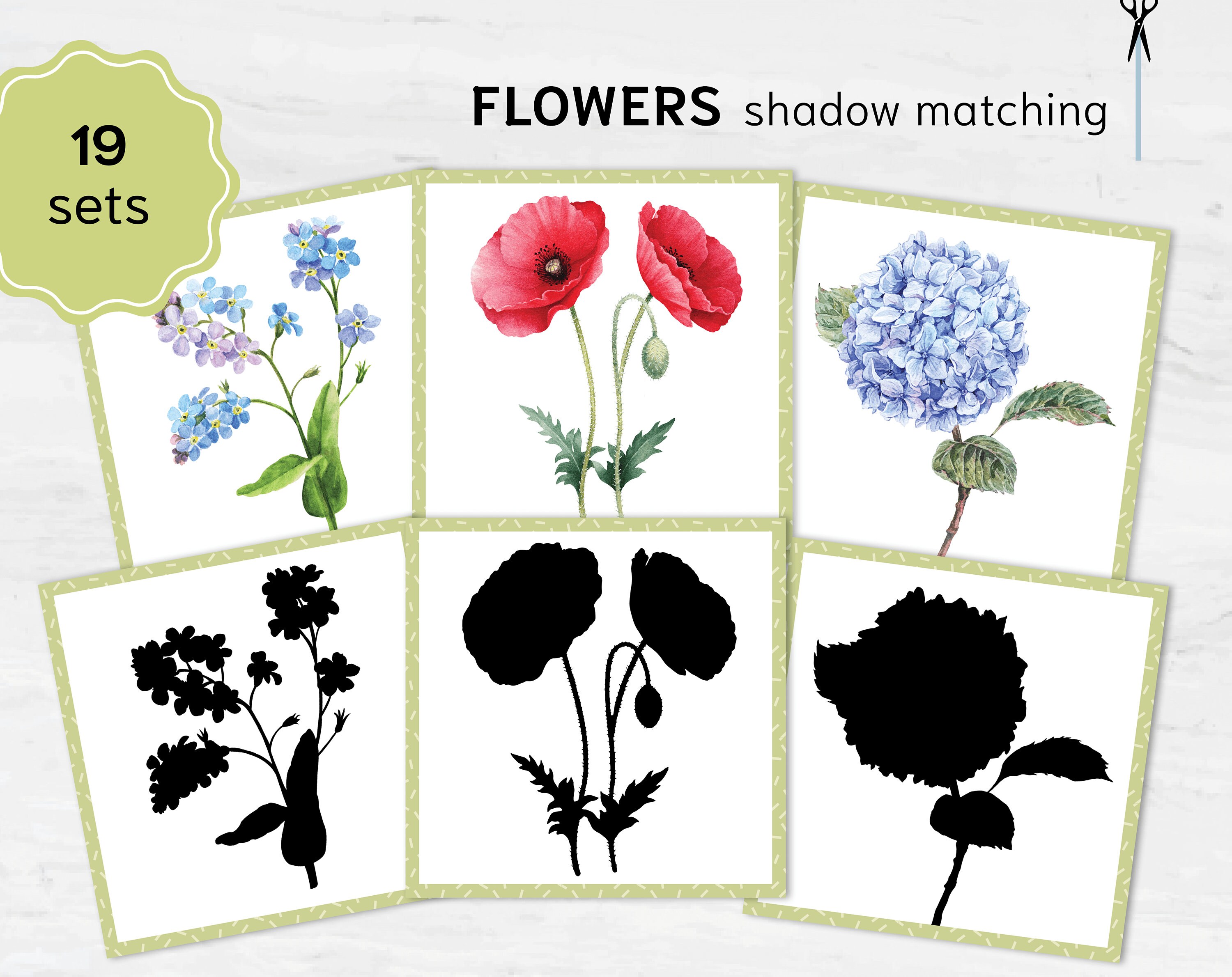 Flower Shadow Matching Cards. Montessori-based Learning Activity for ...