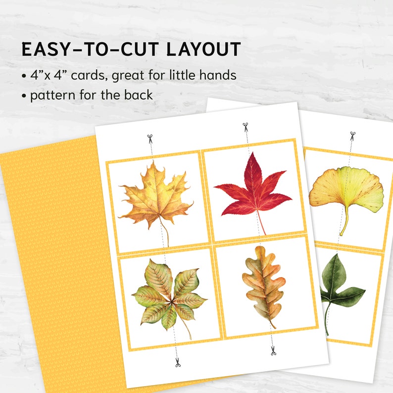 Autumn Puzzle: Fall Leaves Matching Game for Toddlers. - Etsy