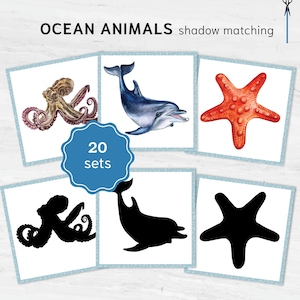 Ocean Shadow Matching Cards. Printable Watercolor Sea Animal Cards ...