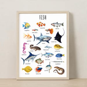 Animal Classification Educational Poster – Watercolor Prints for Kids ...