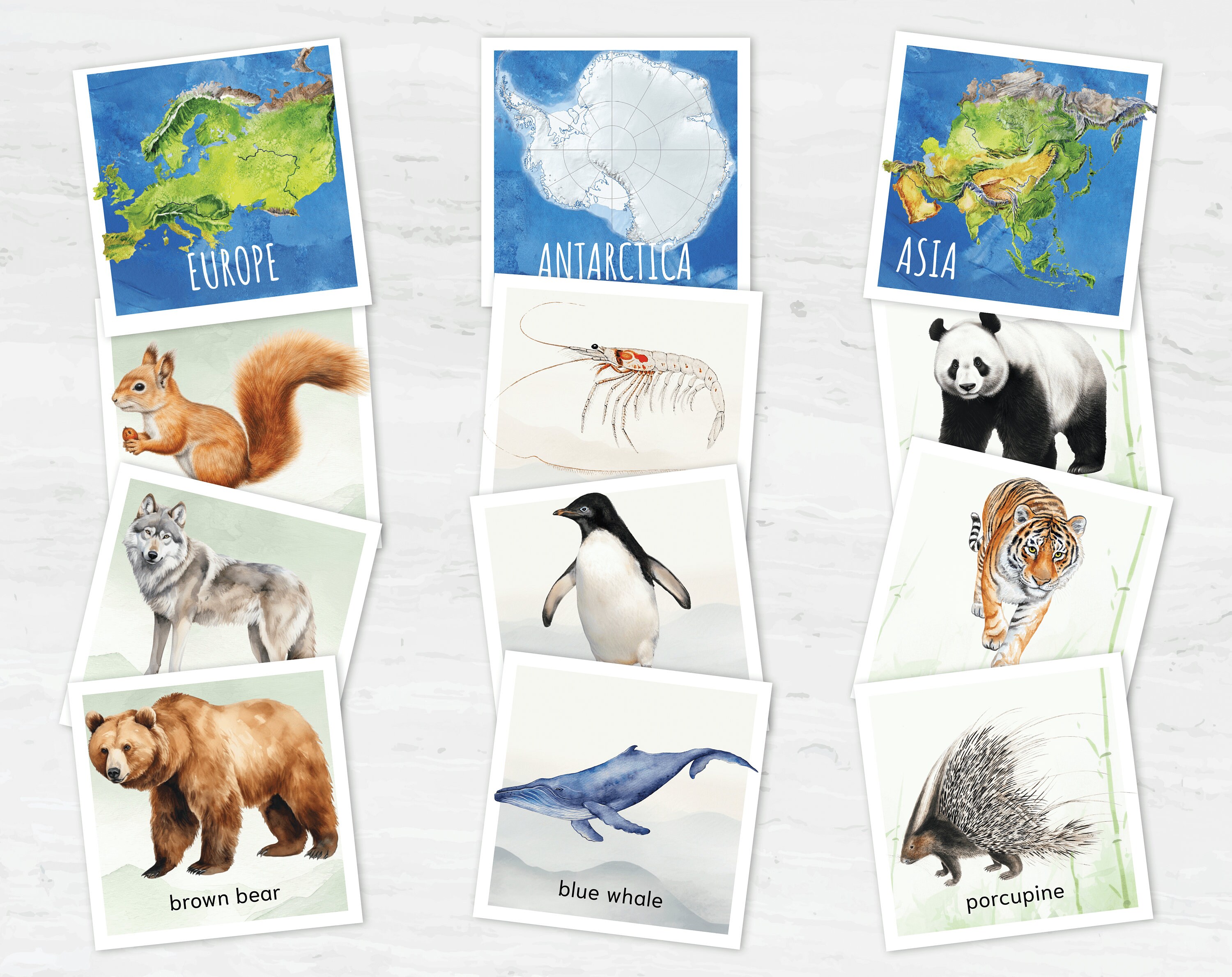 Animals Continents Matching Adventure. Printable Montessori Geographic ...