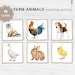 Farm Animal Matching Cards. Printable Preschool Activity. Educational ...