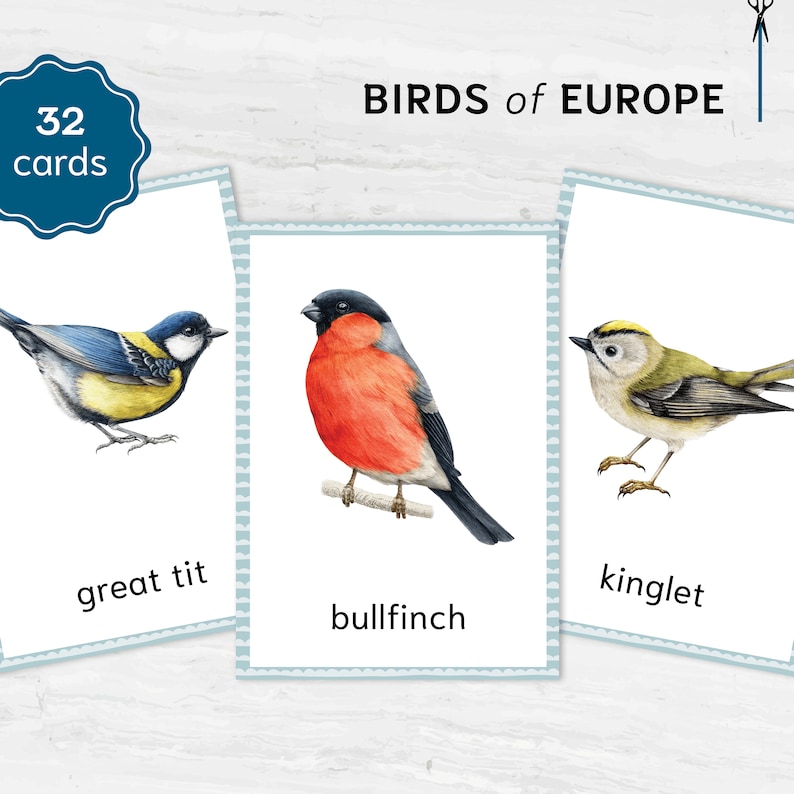 EU Birds Montessori Printable Flashcards. UK BIRDS Homeschool Materials ...