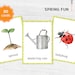 Printable Spring Flashcards: Montessori Vocabulary Materials for ...