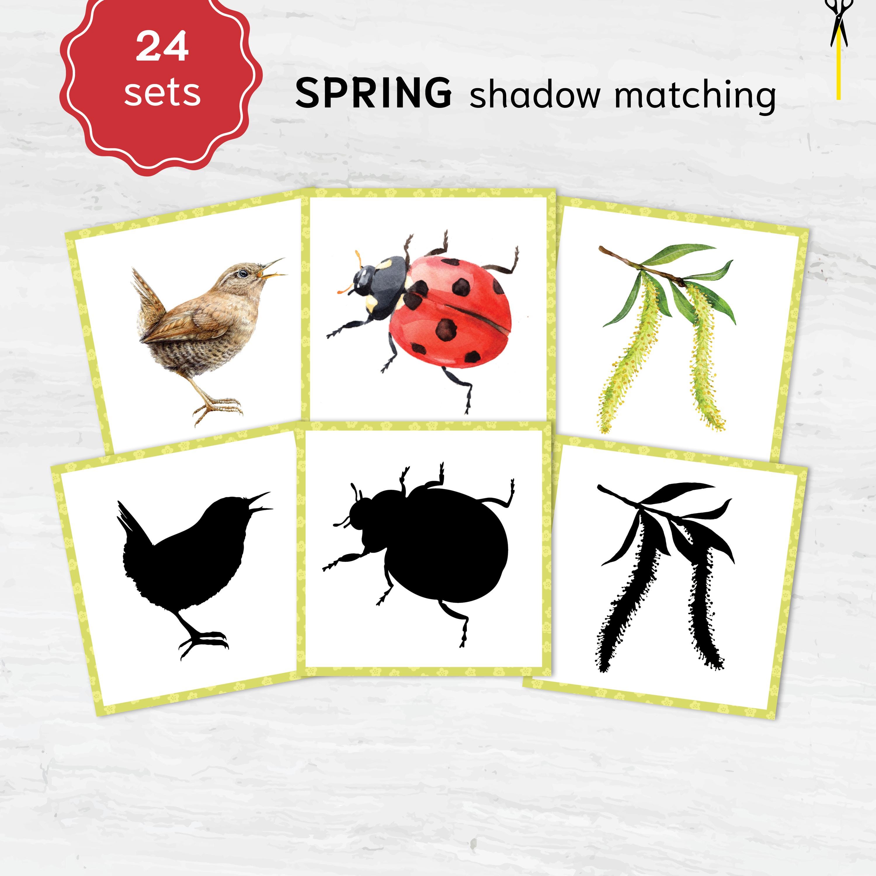 Spring Shadow Matching Cards: Montessori Learning Game for Preschool in ...