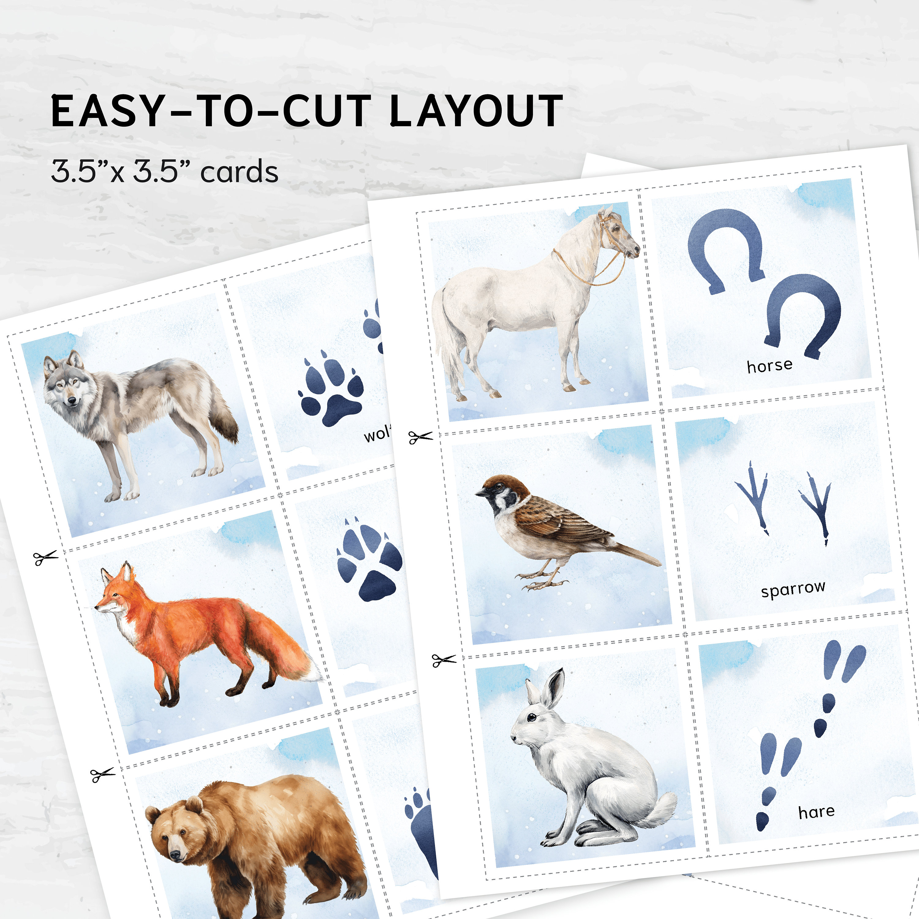 Winter Animal Tracks Matching Game: Montessori Nature Cards With a ...