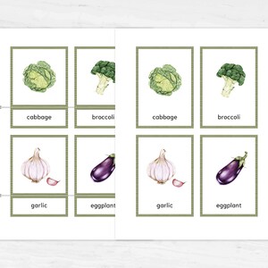 Montessori Vegetable Flashcards. Printable Vocabulary Cards for ...