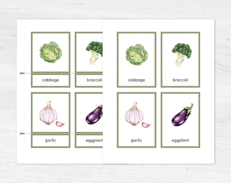 Montessori Vegetable Flashcards. Printable Vocabulary Cards for ...