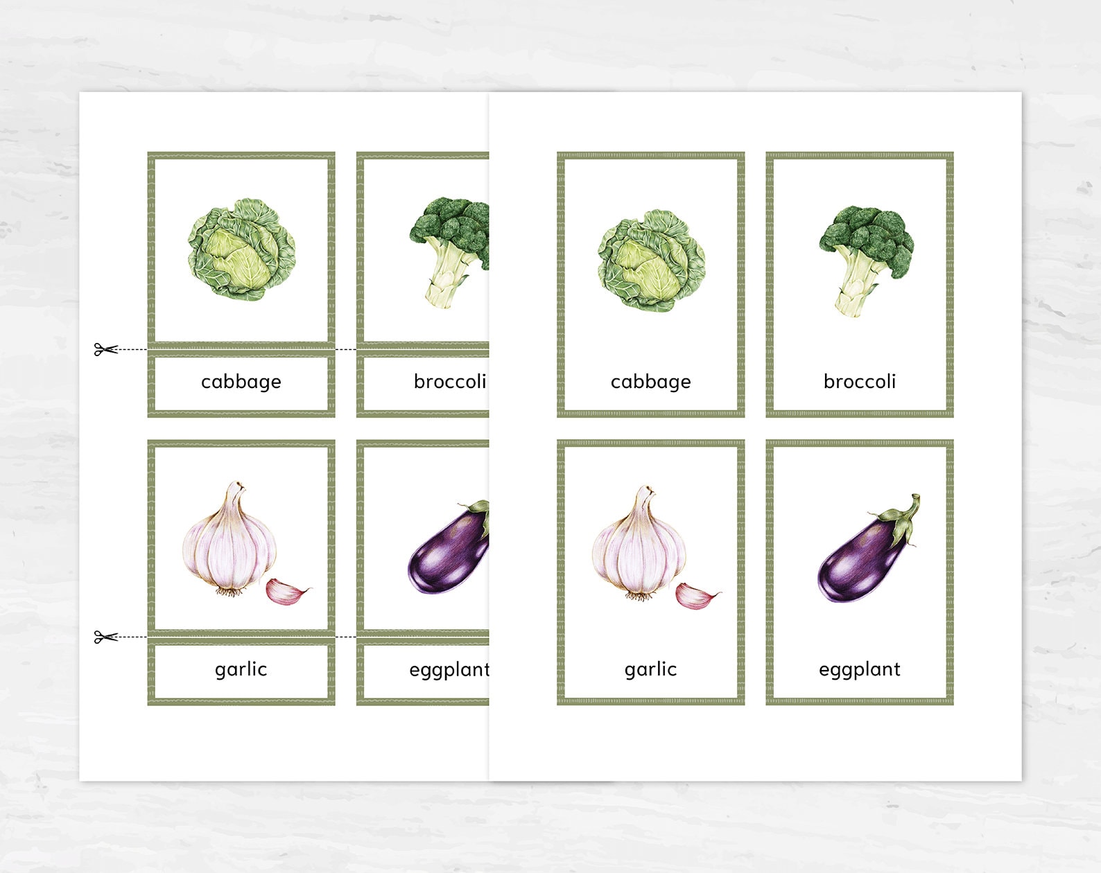 Montessori Vegetable Flashcards. Printable Vocabulary Cards for ...