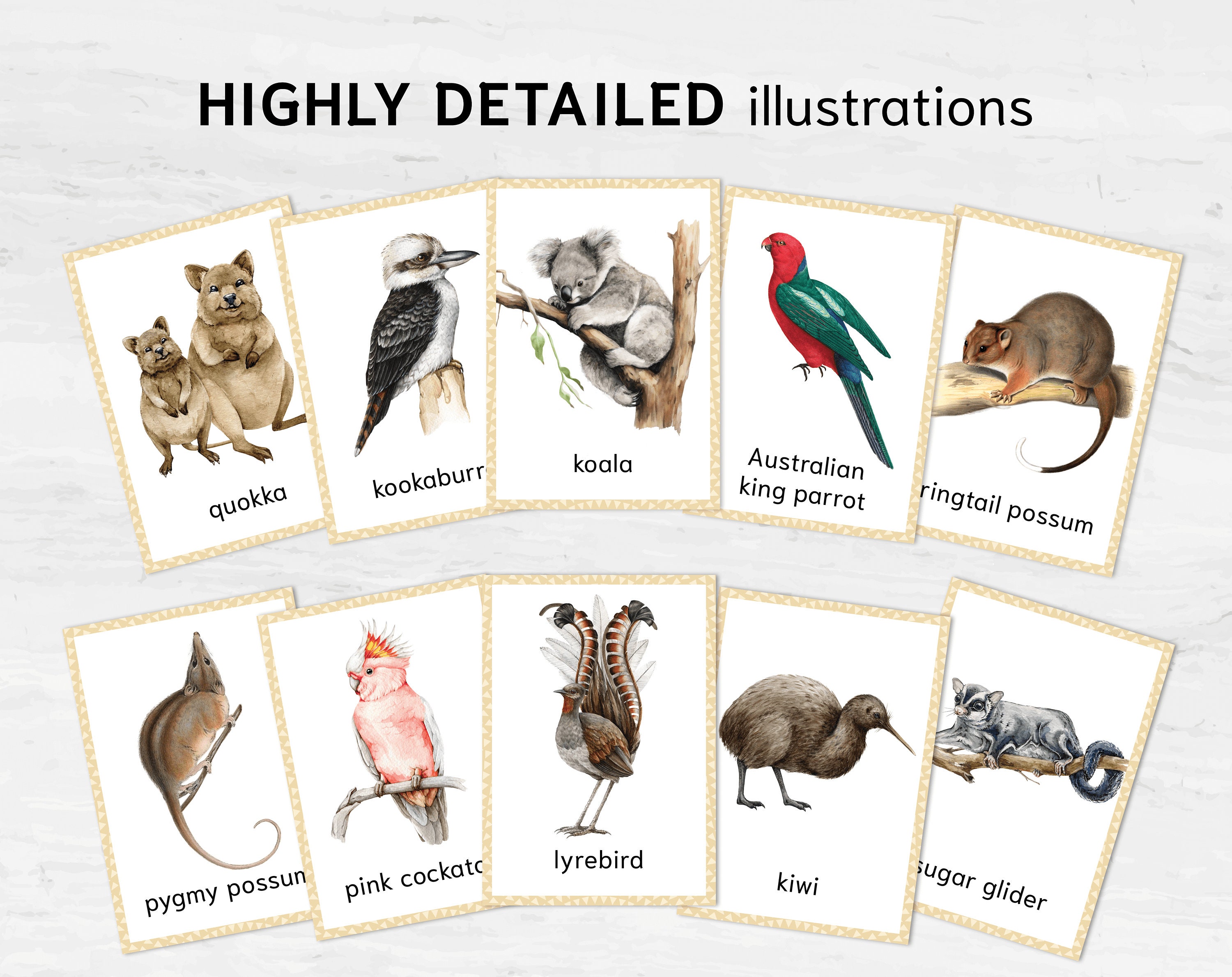 Colorful Australian Animals Flashcards for Montessori Education ...