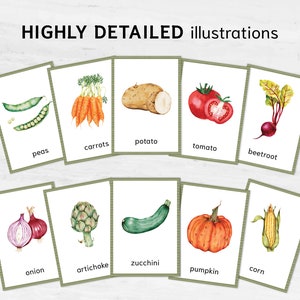 Montessori Vegetable Flashcards - Printable Vocabulary Cards for ...
