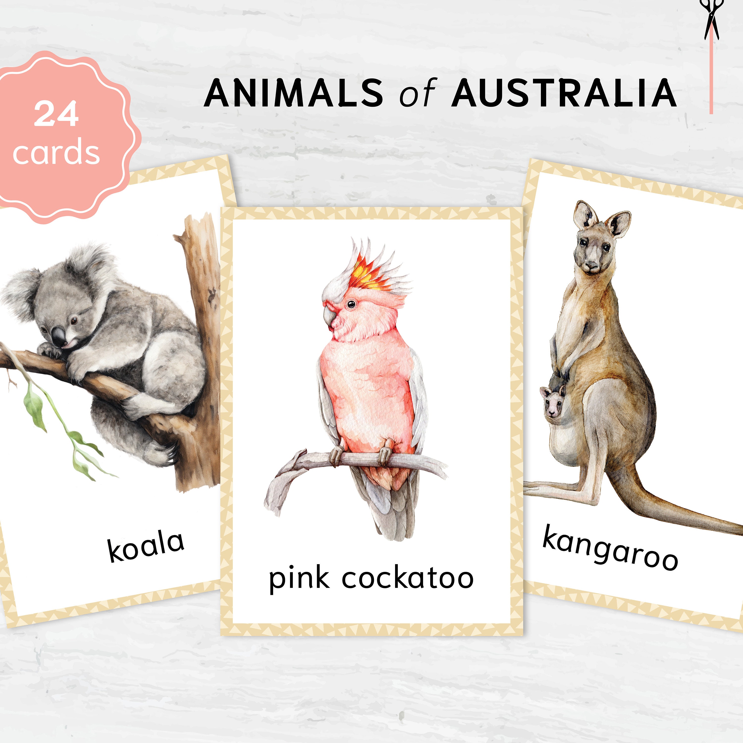 Colorful Australian Animals Flashcards for Montessori Education ...