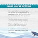 Bird Sounds. QR Code Listen & Match Activity. Identify Birds With ...