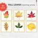 Autumn Puzzle: Fall Leaves Matching Game for Toddlers. - Etsy