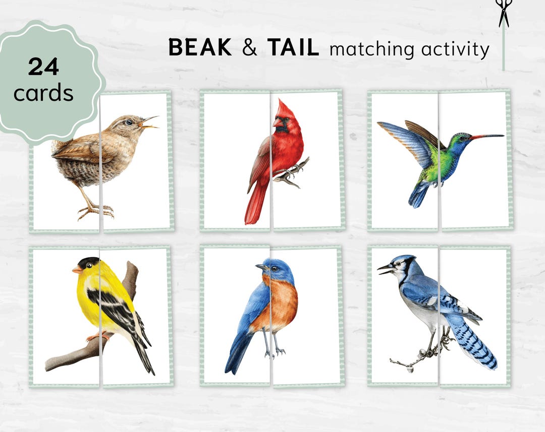Matching Game: Beak & Tail Bird Halves Toddler Activity, Educational ...