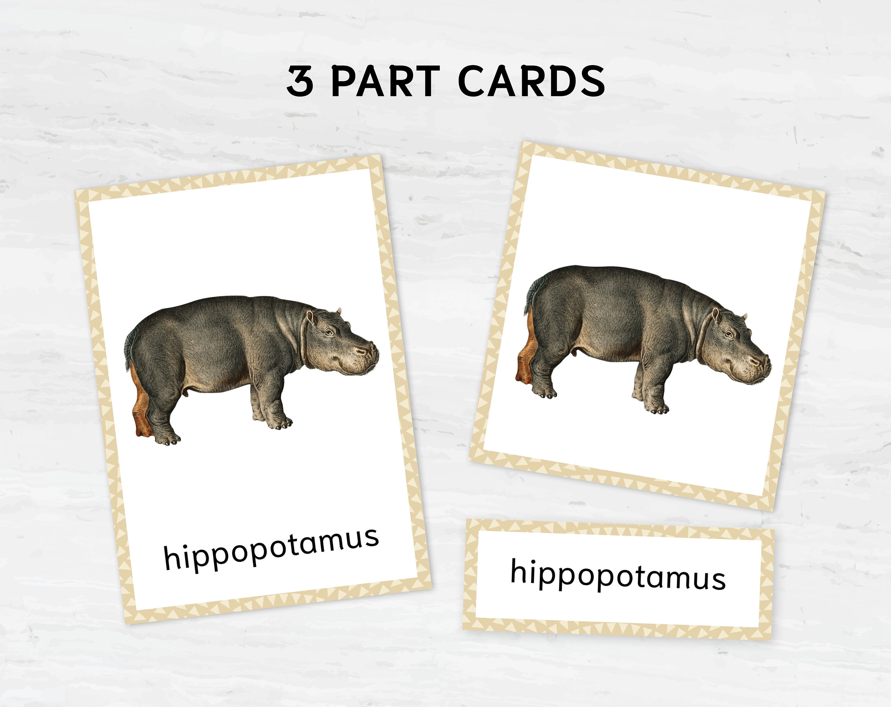 Montessori Animal Flashcards Bundle - Nomenclature Learning Set ...