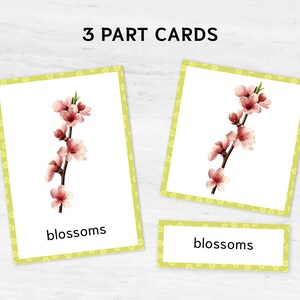 Printable Spring Flashcards: Montessori Vocabulary Materials for ...
