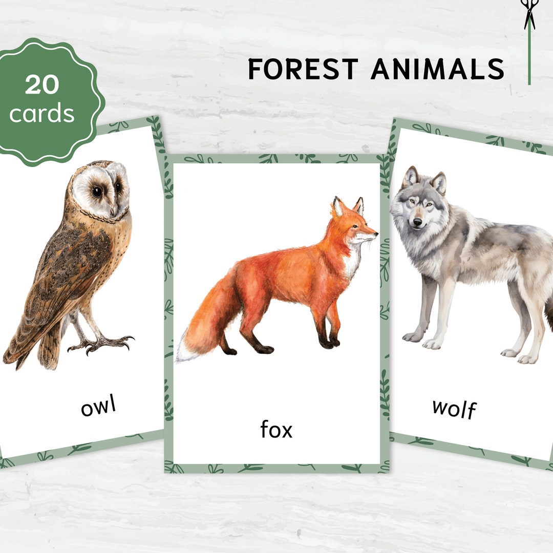 Montessori Forest Animal Flashcards | Printable Nomenclature Cards for ...