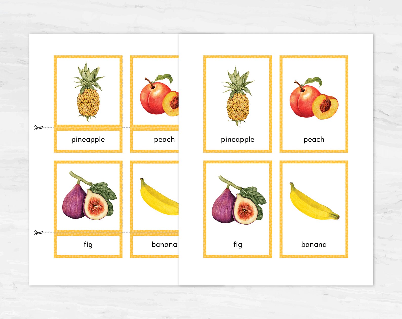 Montessori Fruit Flashcards. Vibrant Watercolor Learning Set - Etsy