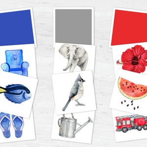 Montessori Color Sorting Matching Game: Toddler's 12-color Recognition ...