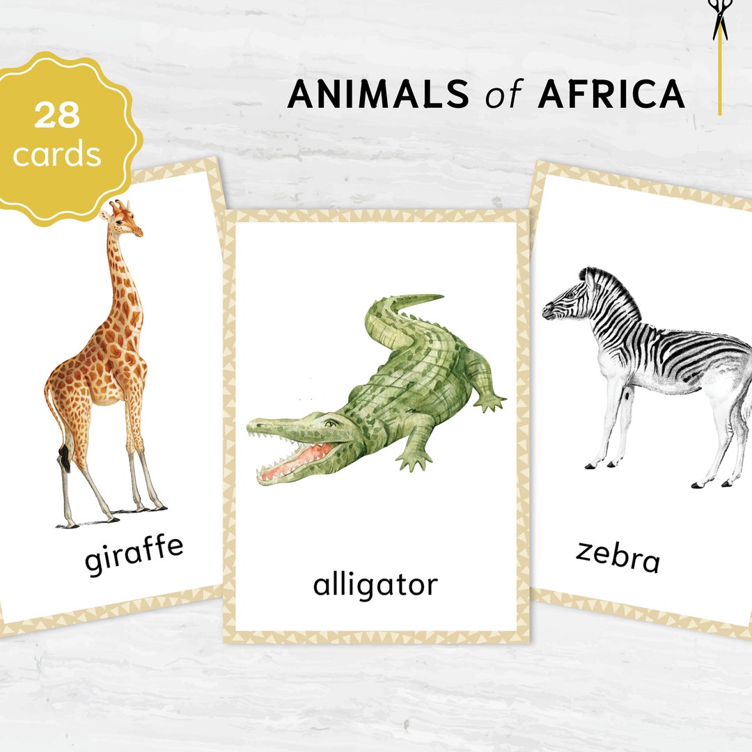 Montessori Animal Flashcards Bundle Nomenclature Learning Set ...