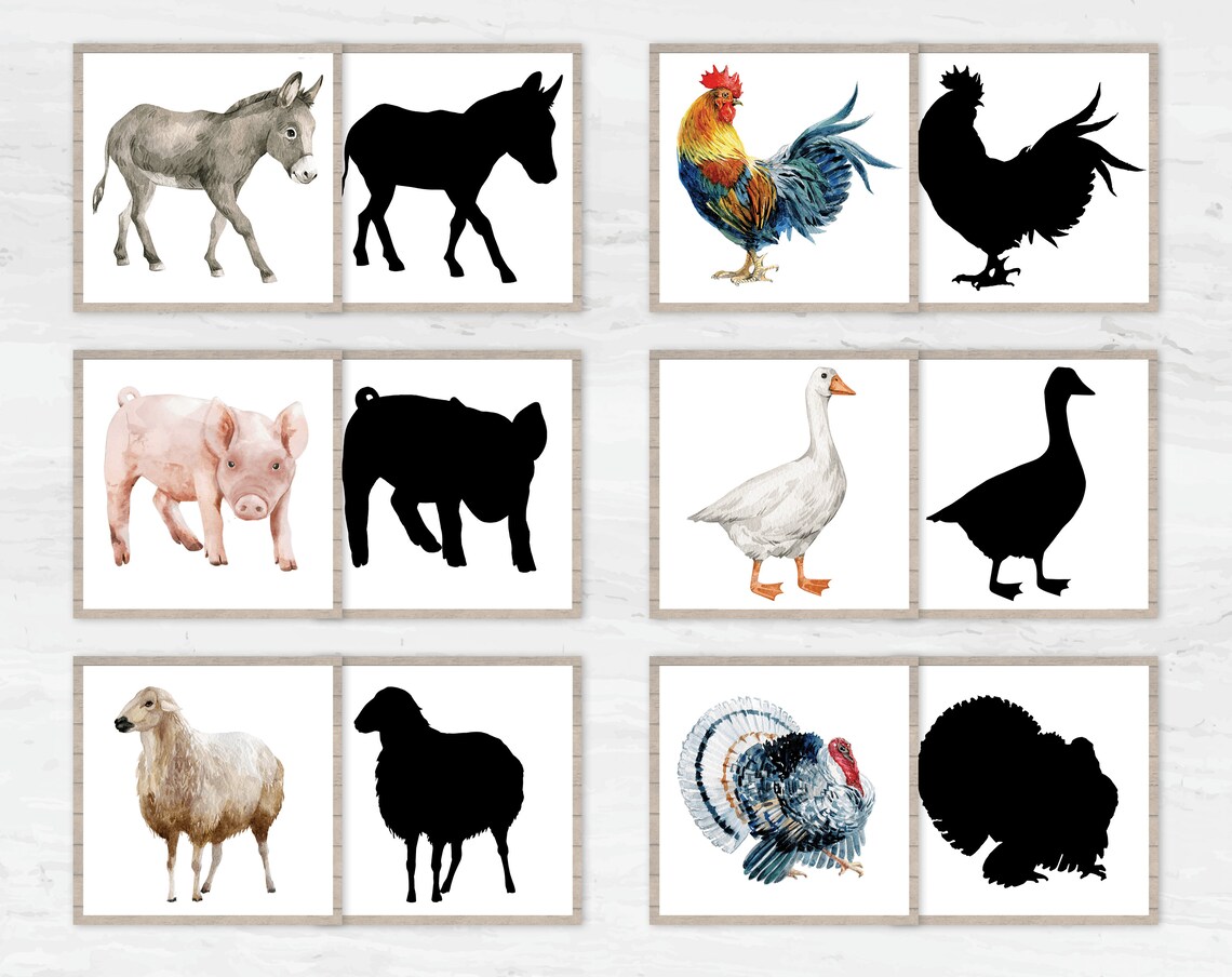 Farm Animal Shadows: Barnyard Montessori Matching Activity, Livestock ...