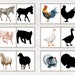 Farm Animal Shadows: Barnyard Montessori Matching Activity, Livestock ...