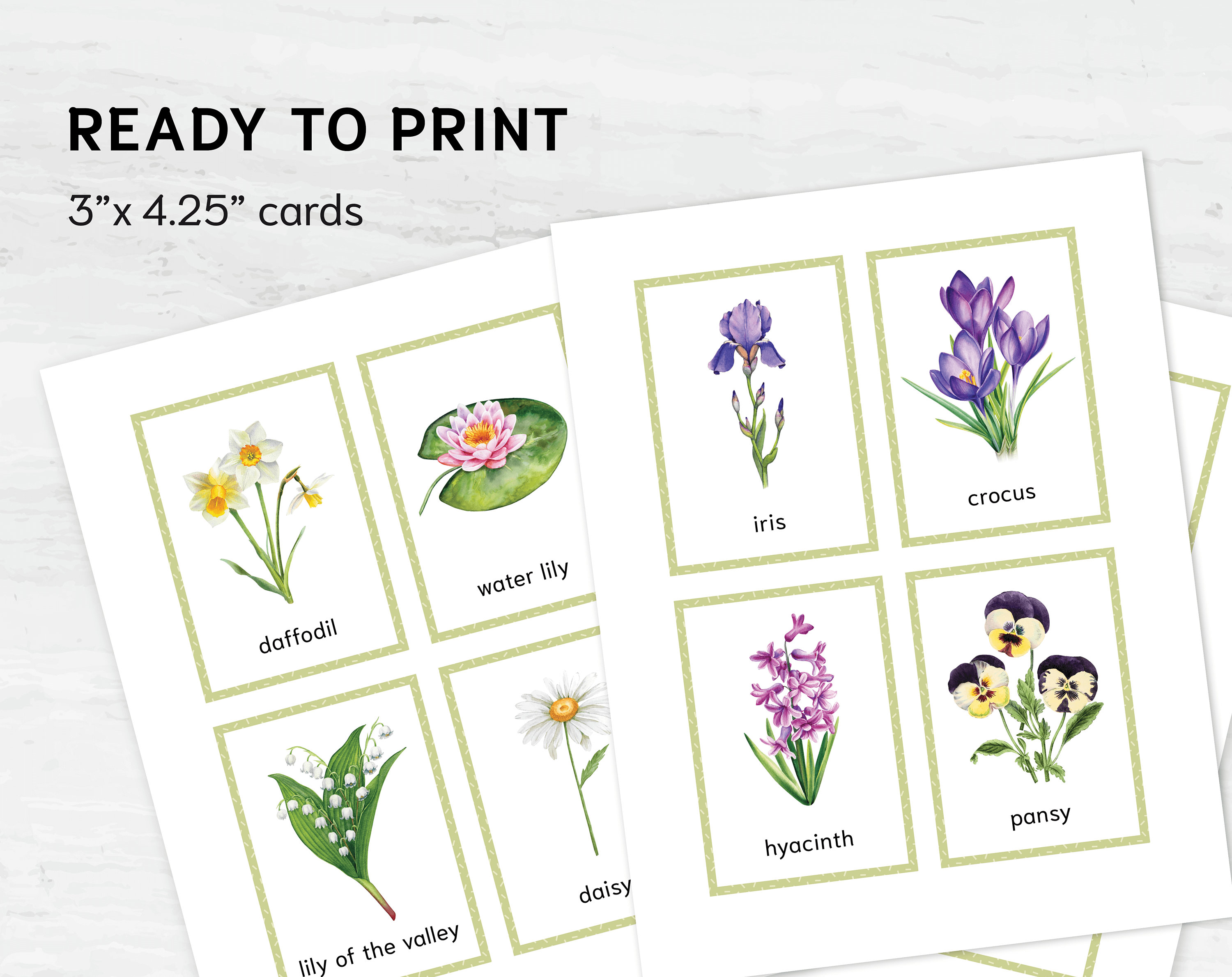 Printable Montessori Flower Flashcards Educational Homeschooling ...