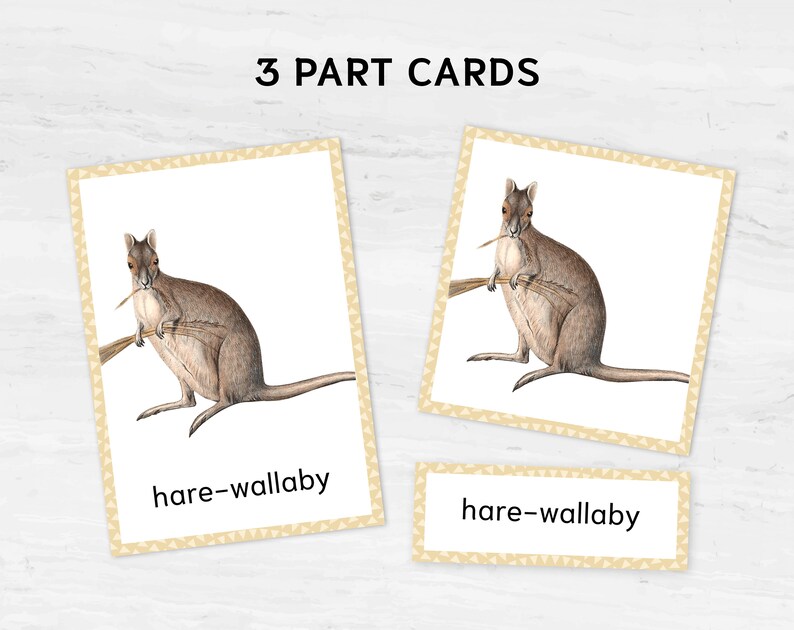 Colorful Australian Animals Flashcards for Montessori Education ...