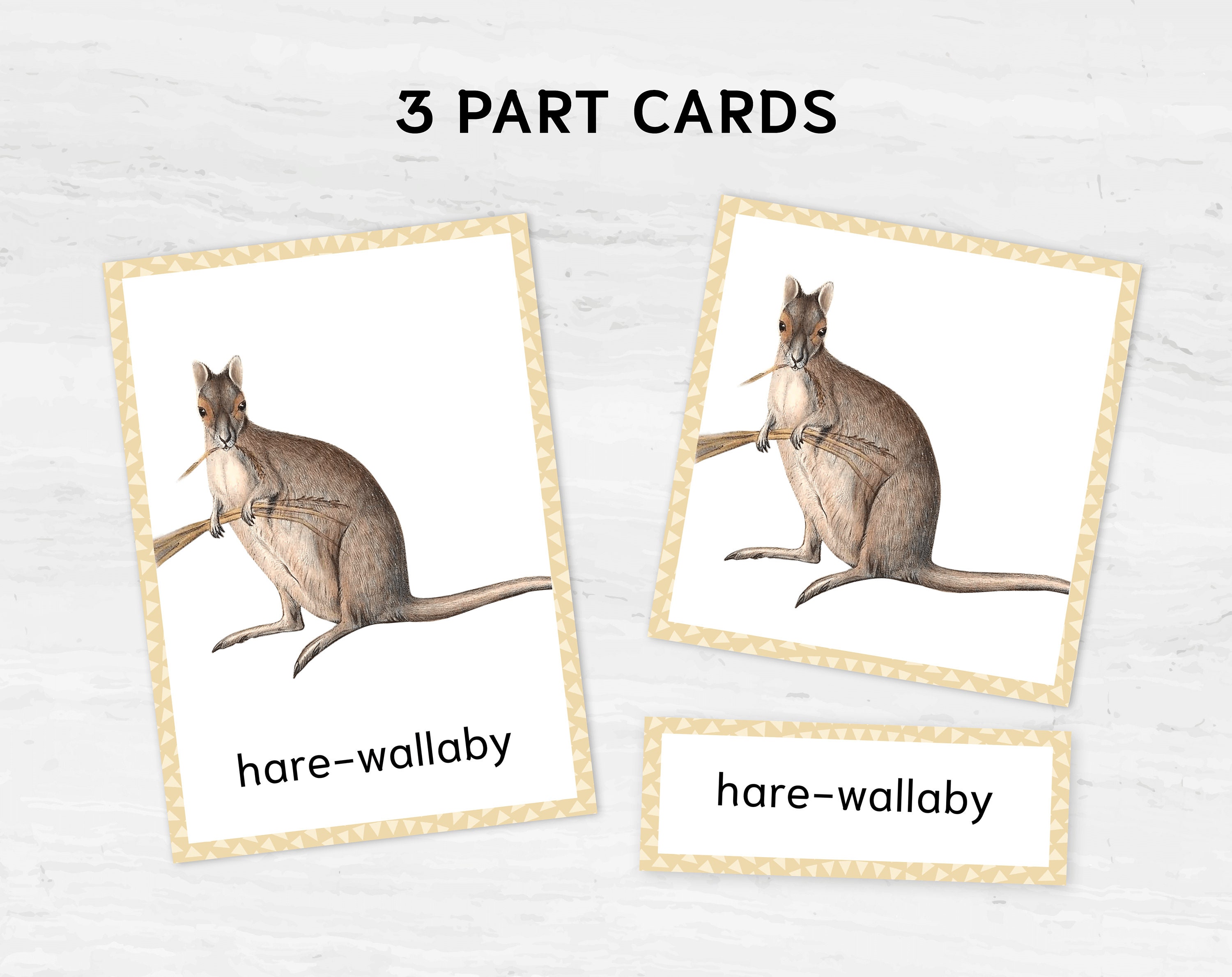 Colorful Australian Animals Flashcards for Montessori Education ...