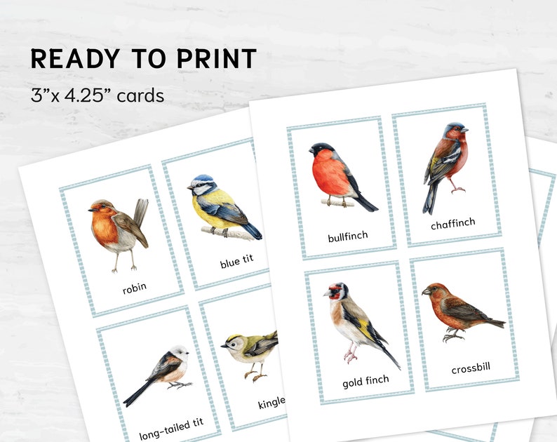 EU Birds Montessori Printable Flashcards. UK BIRDS Homeschool Materials ...