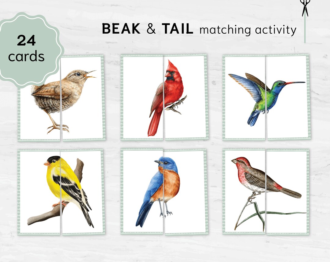 Beak & Tail: Bird Halves Matching Game for Toddlers. - Etsy