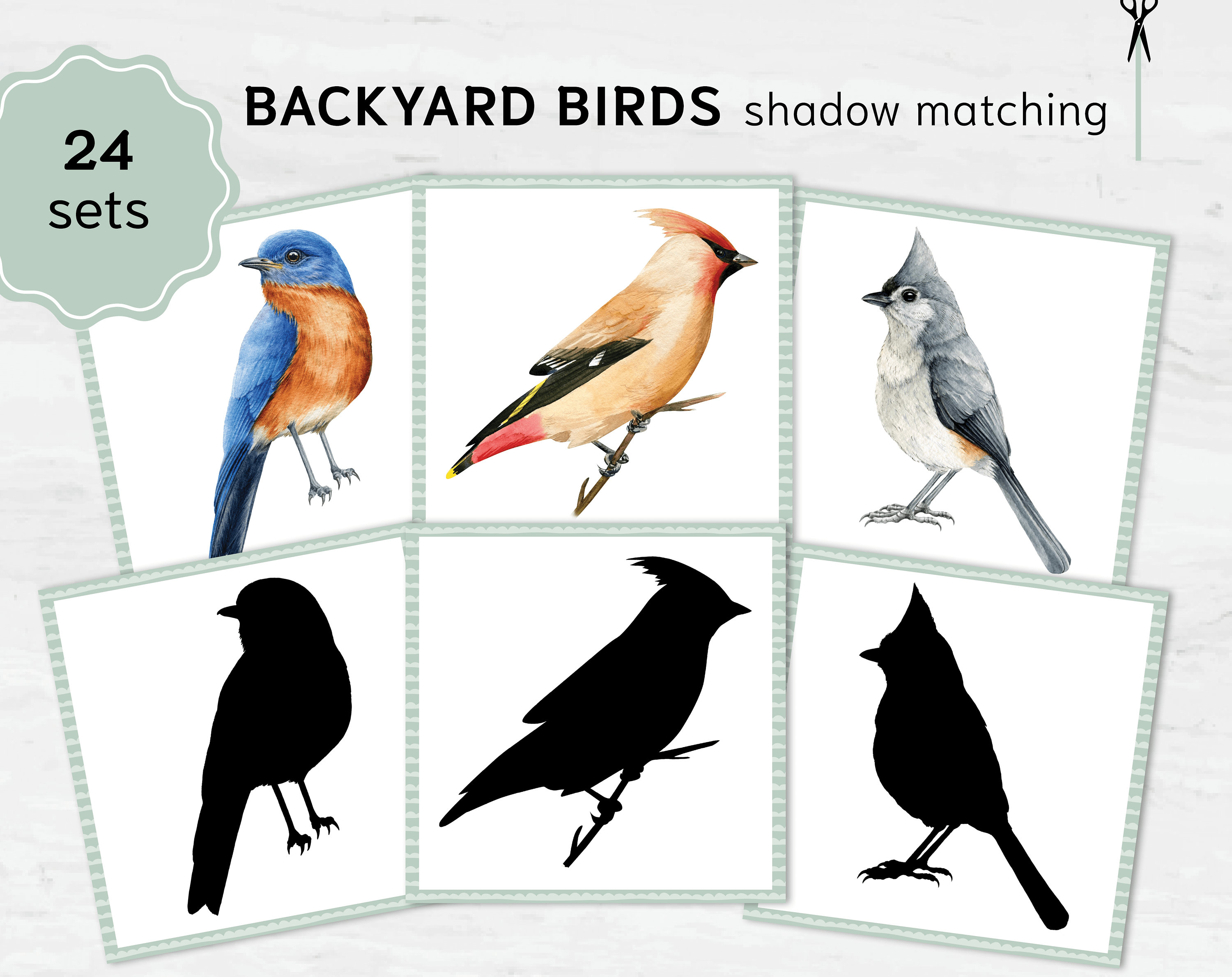 Bird Shadow Matching Cards. Montessori Educational Materials. Printable ...