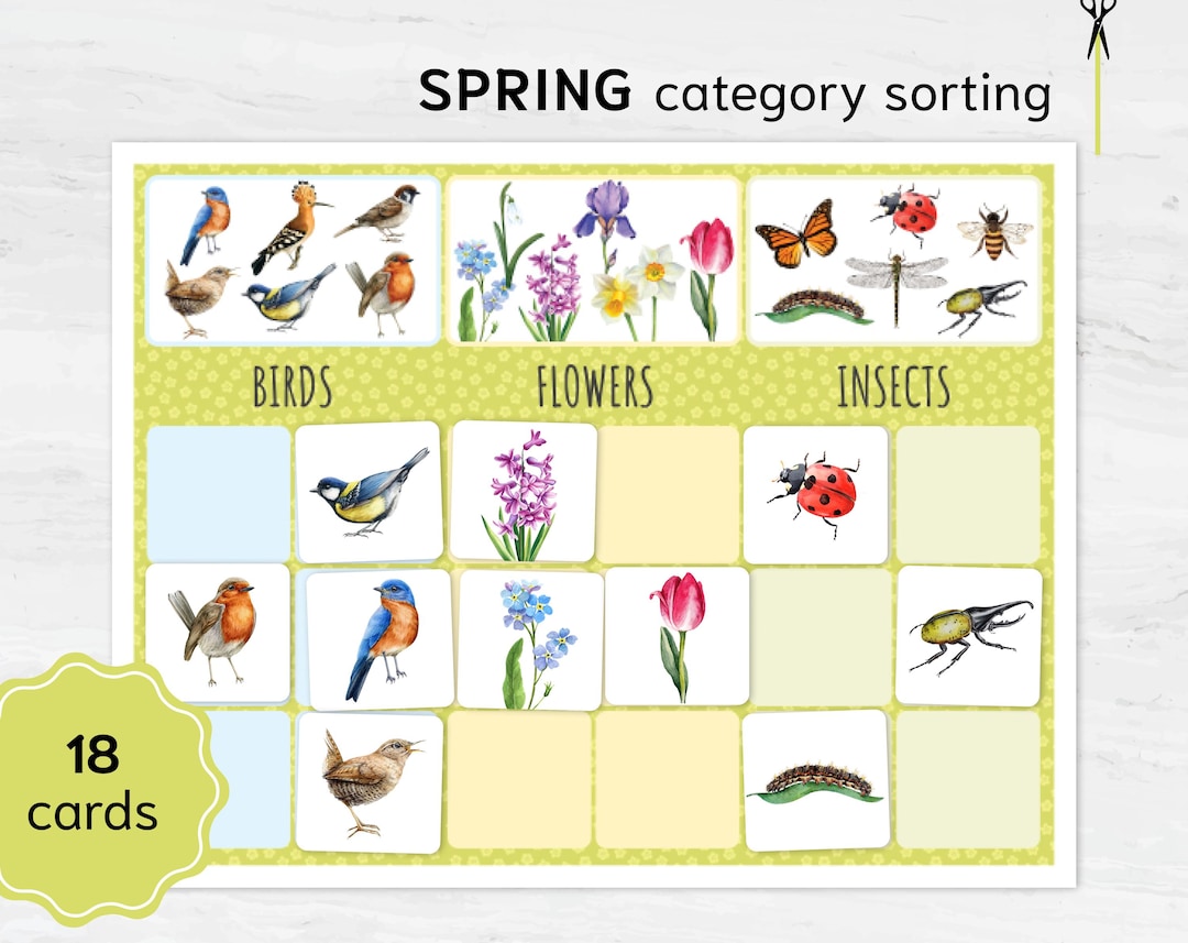 Montessori Math Materials: Spring Category Sorting Activity for ...