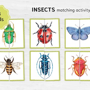 Insects Symmetry Matching Puzzle: Montessori Toddler Activity (digital ...