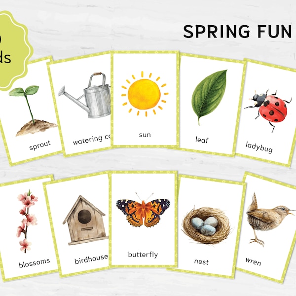 Vocabulary Cards - Etsy