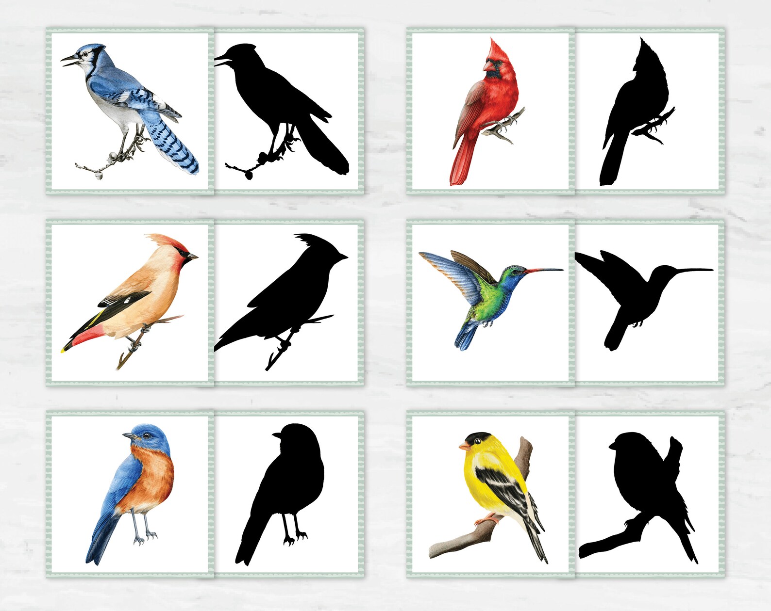 Bird Shadow Matching Cards. Montessori Educational Materials. Printable ...