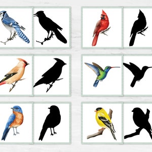 Bird Shadow Matching Cards. Montessori Educational Materials. Printable ...
