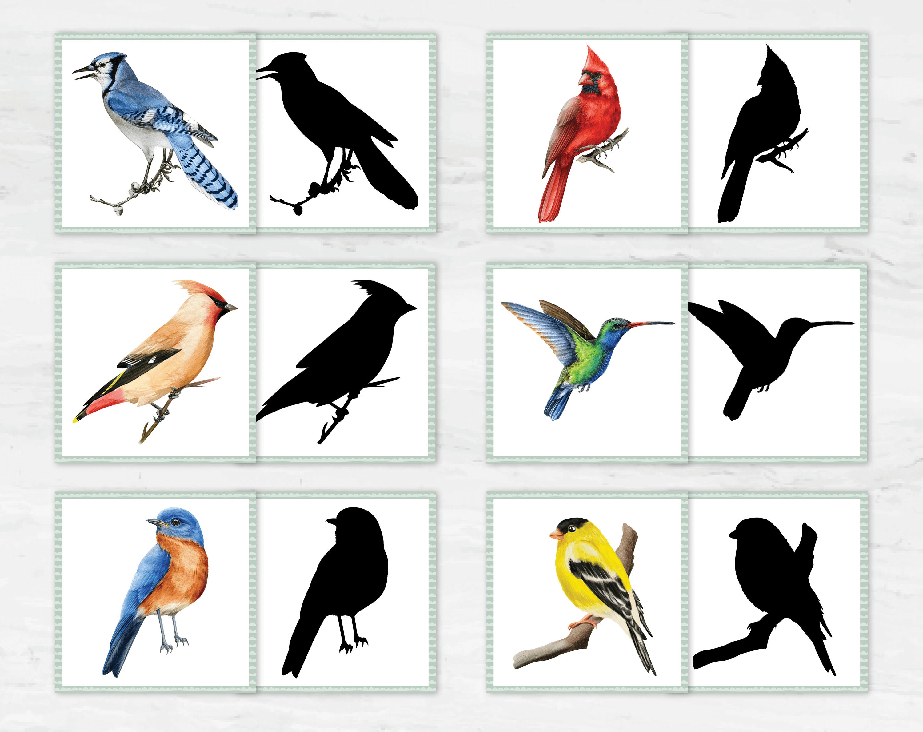 Bird Shadow Matching Cards. Montessori Educational Materials. Printable ...