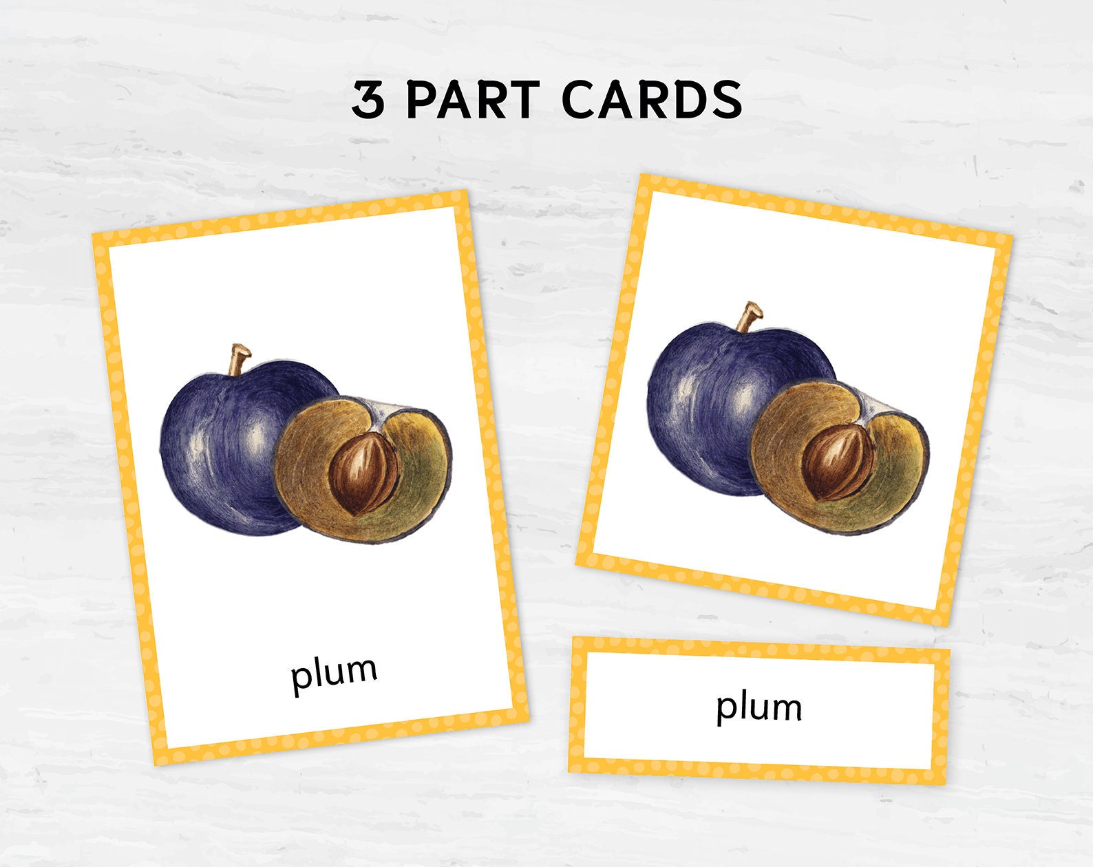 Montessori Fruit Flashcards. Vibrant Watercolor Learning Set - Etsy