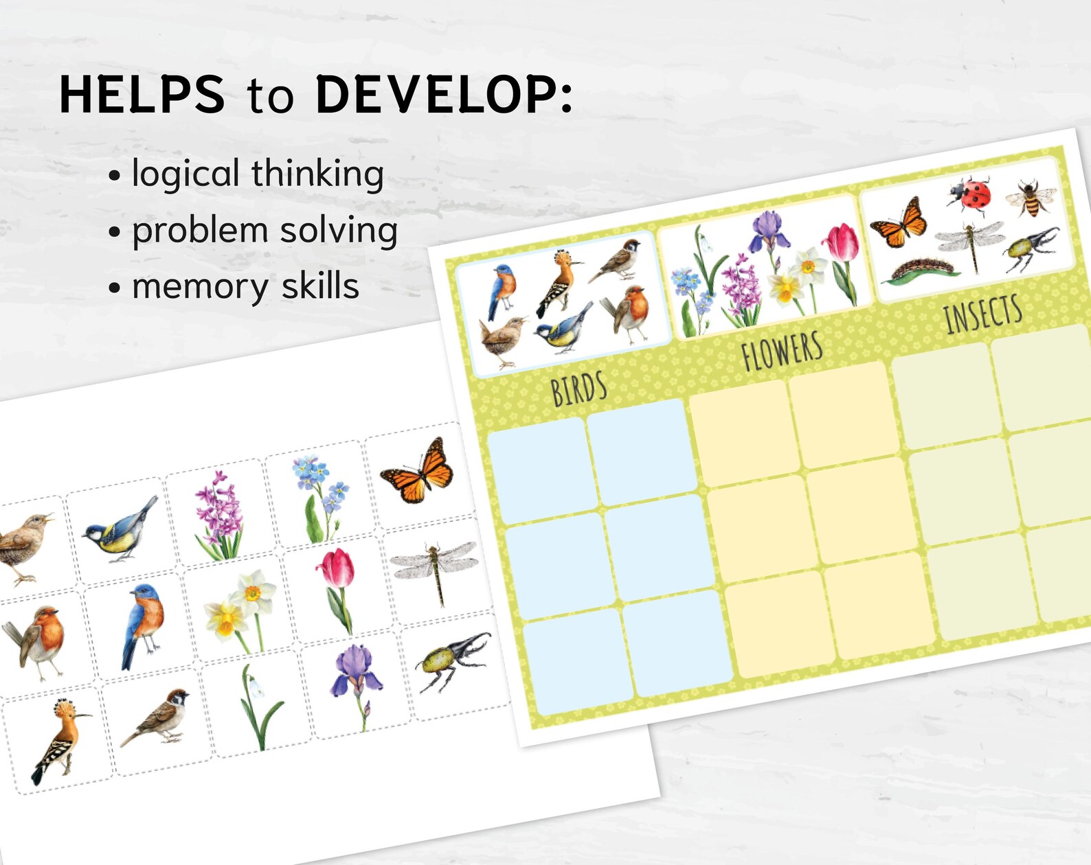 Spring Sorting Game: Montessori Math, Flowers, Birds, Insects ...
